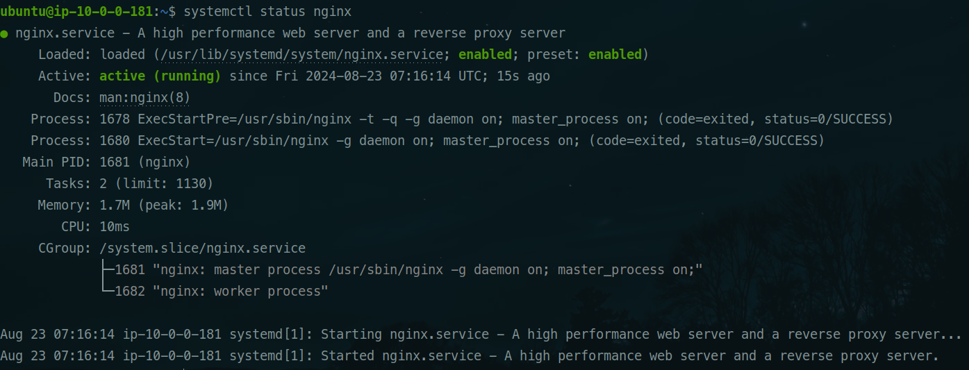 Creating AWS WAF to restrict incoming traffic - NashTech Blog