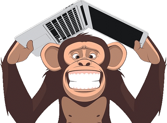 Monkey testing for … monkeys? - NashTech Blog